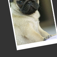 Demos — Fabric.js Javascript Canvas Library